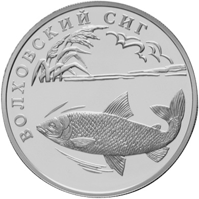 Russia Rouble Y 884 Prices & Values | NGC