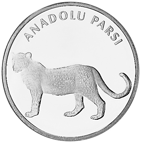 Turkey 20 New Lira KM 1181 Prices & Values | NGC