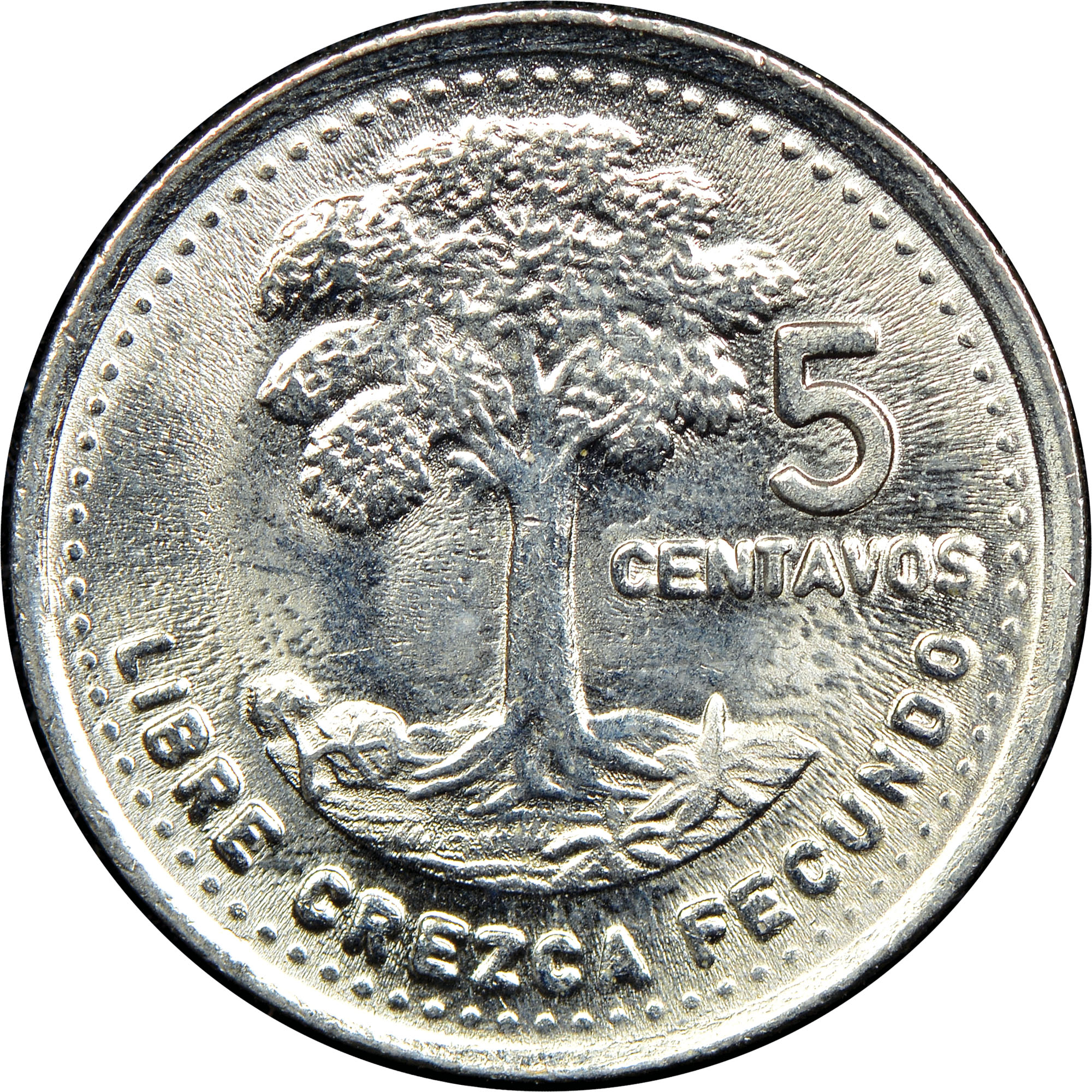 Guatemala 5 Centavos KM 276.4 Prices & Values | NGC