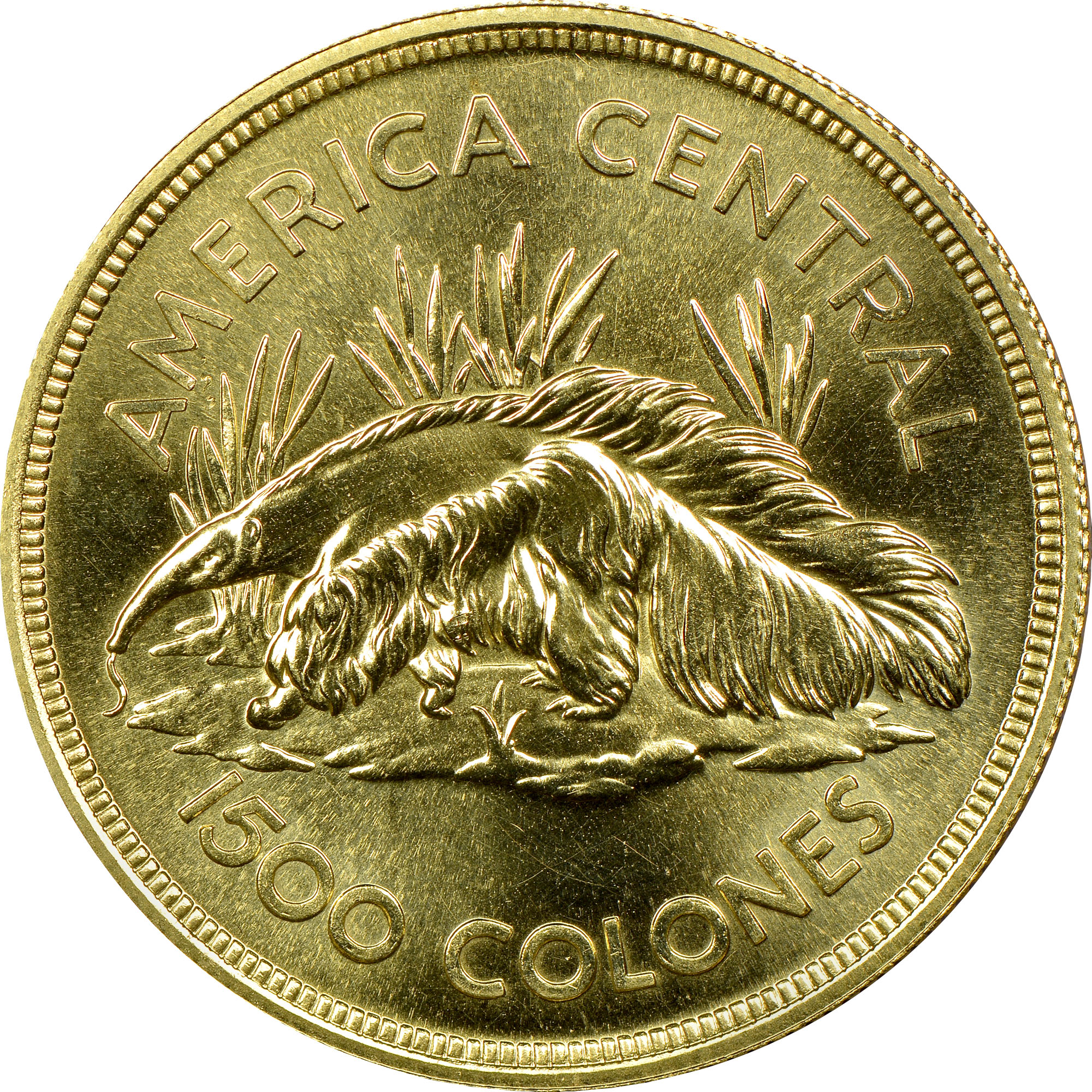 Costa Rica 1500 Colones KM 202 Prices & Values | NGC