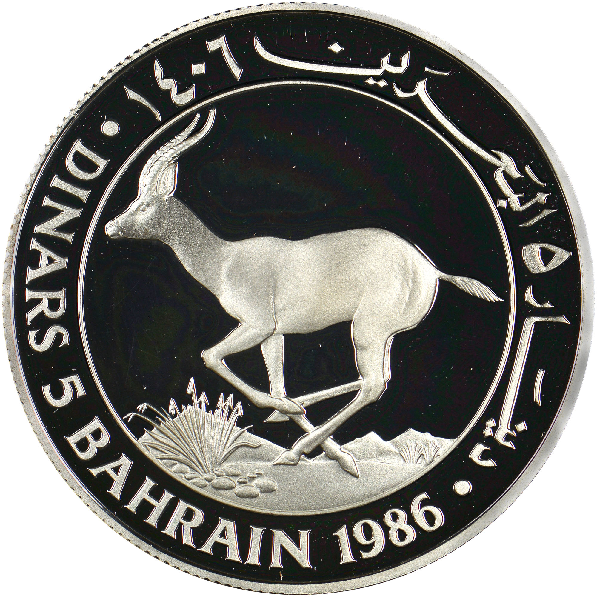 Bahrain 5 Dinars KM 13 Prices & Values | NGC