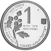 Israel New Sheqel KM 244 Prices & Values | NGC