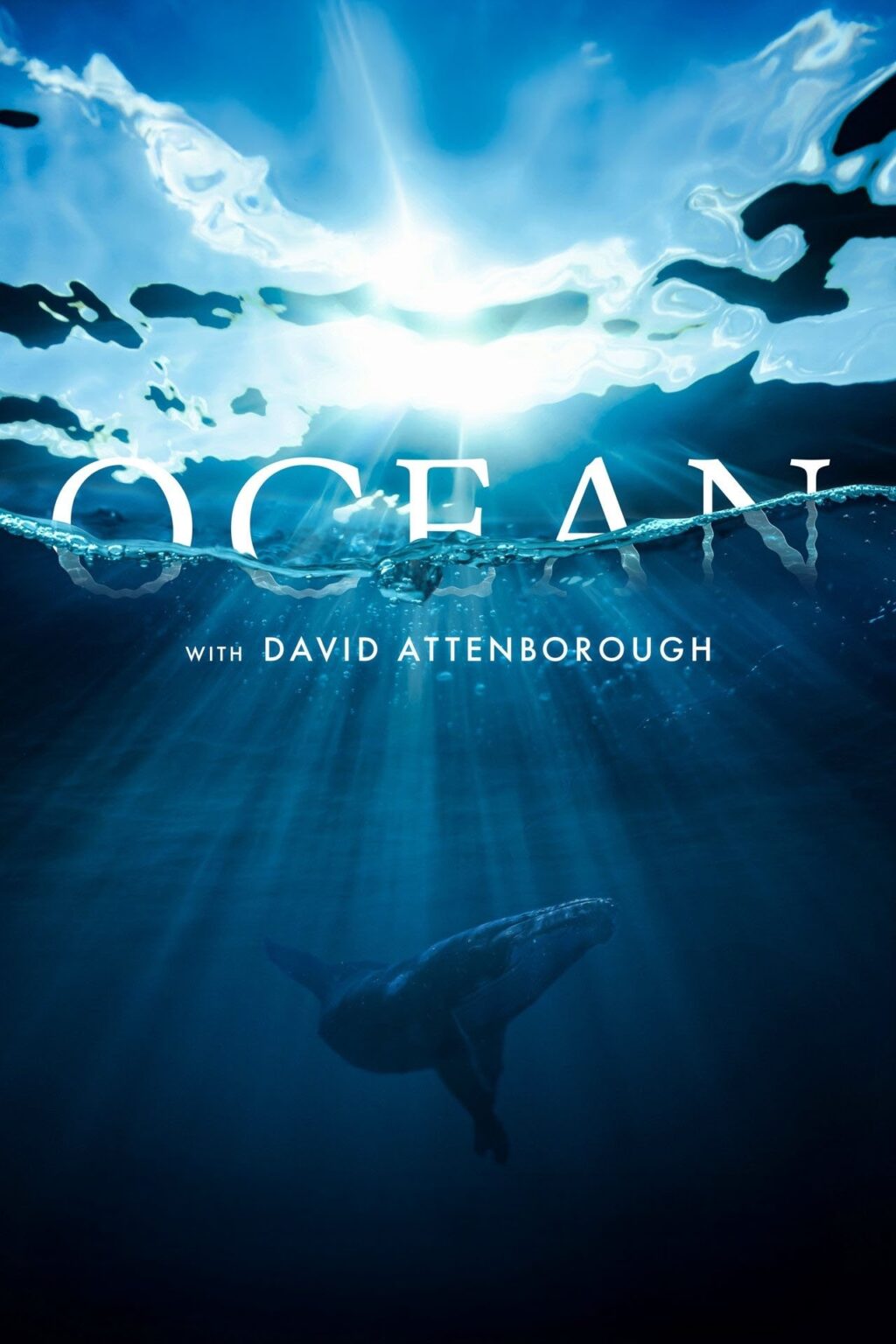 Ocean with David Attenborough (2025) – Gateway Film Center