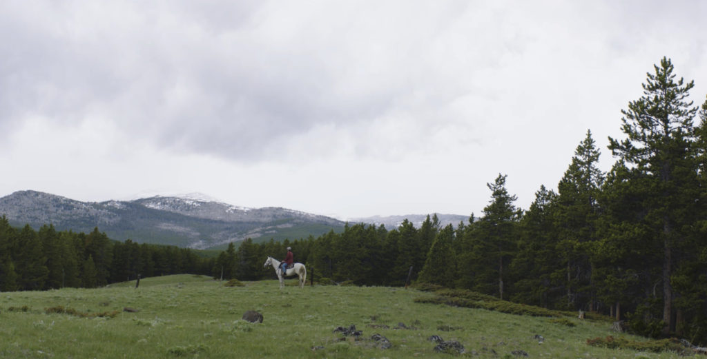 Early Light – 2021 GI Film Festival San Diego