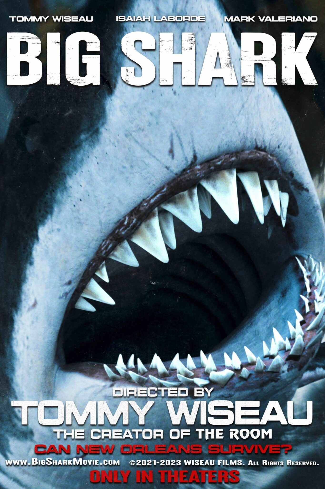 Coming Soon – Independent Picture House