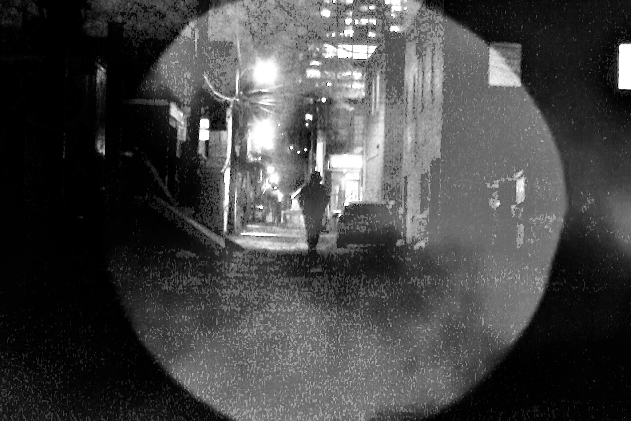Coming Soon – Independent Picture House