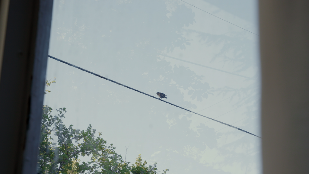 HOMEGOING – 2021 Los Angeles Asian Pacific Film Festival