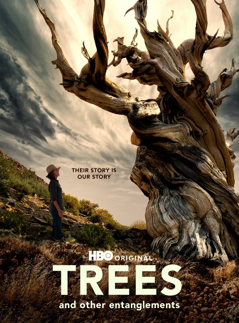 [ PAST EVENT ] SNEAK PEEKS // Trees & Other Entanglements – Tomorrow ...