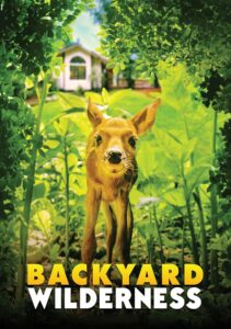 Backyard Wilderness – Bedford Playhouse
