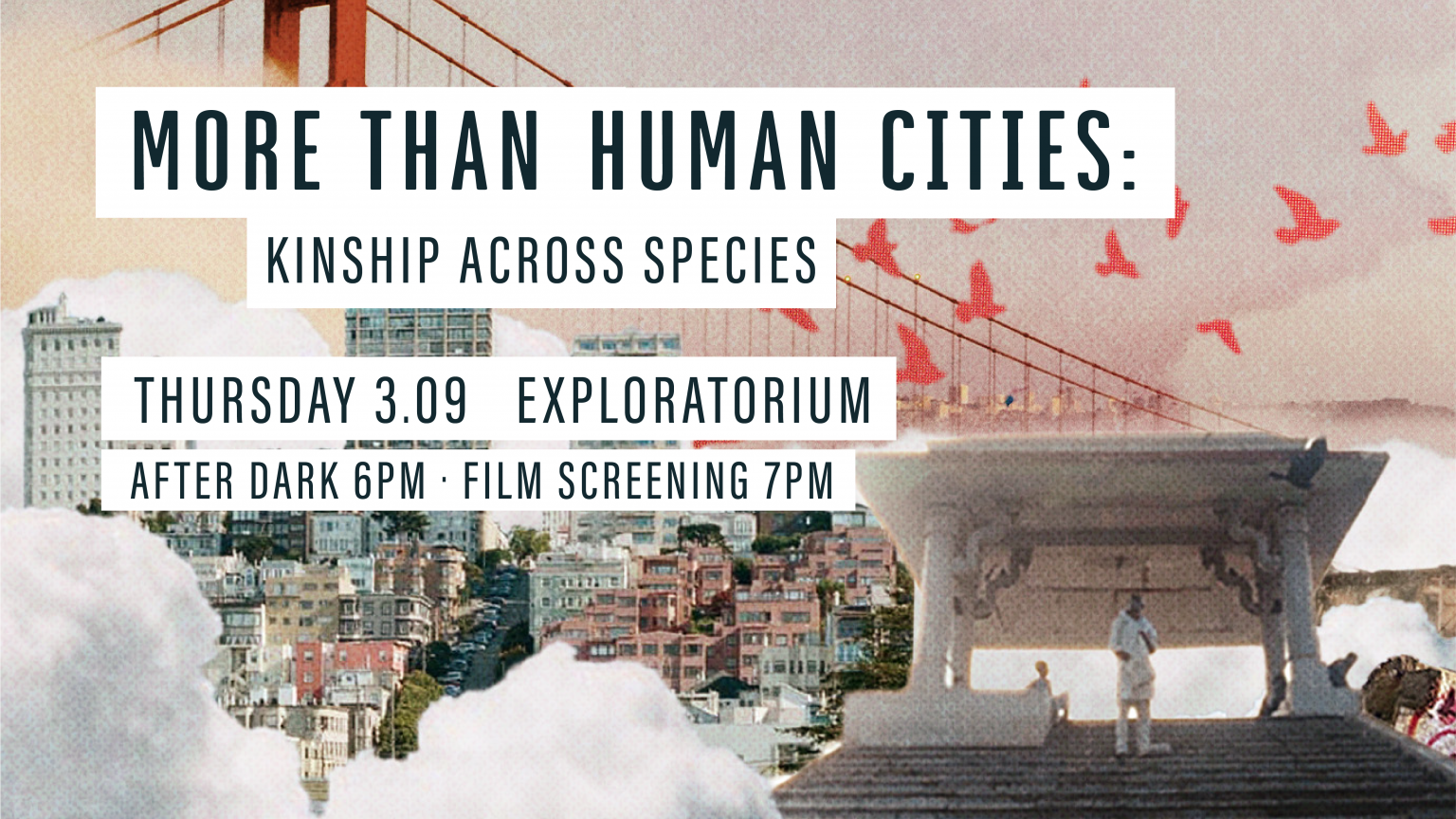 More Than Human Cities: Kinship Across Species – 2023 SF Urban Film Fest