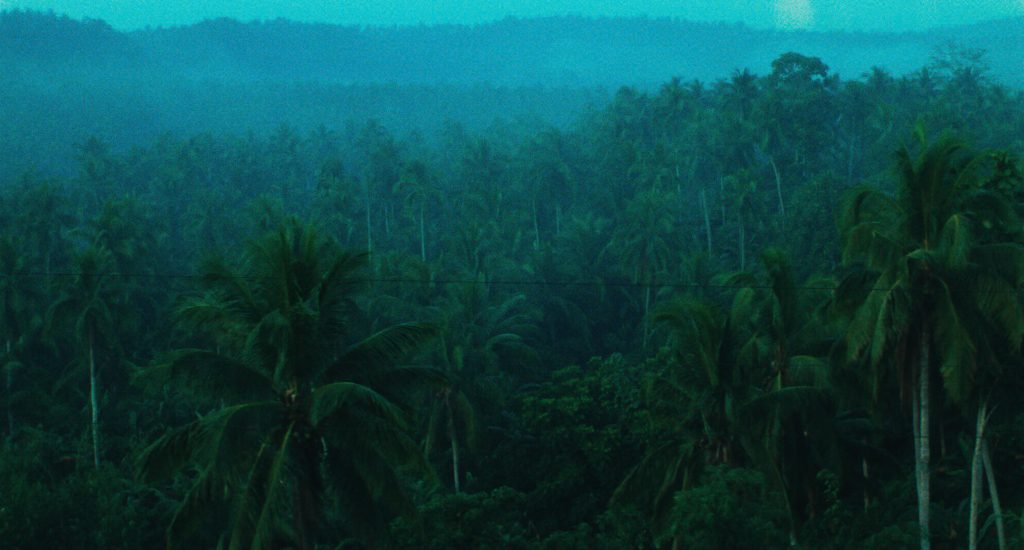 Days of Being Wild – 2023 SDAFF Spring Showcase