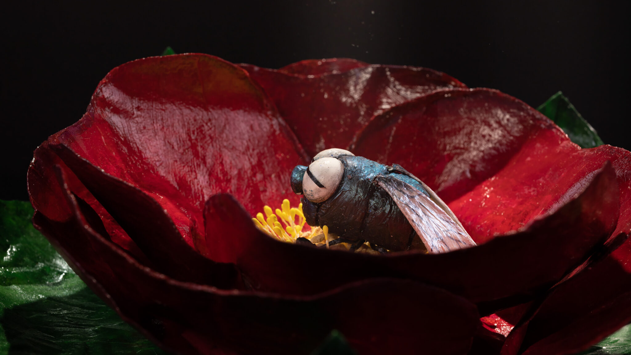 THE NECTAR INSTEAD – 2024 VC Film Fest