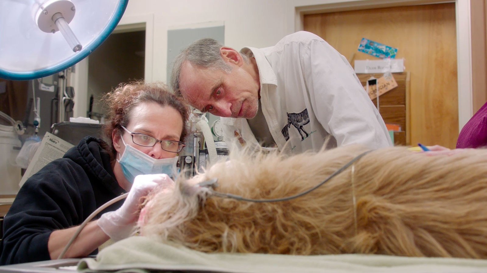 The Dog Doc – Row House Cinemas – Lawrenceville