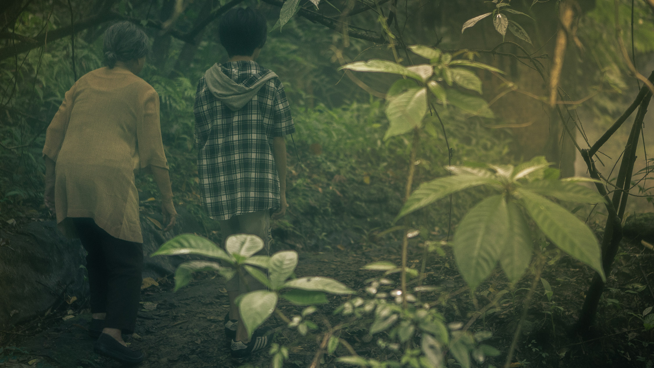 WILD SPARROW – 2019 San Diego Asian Film Festival