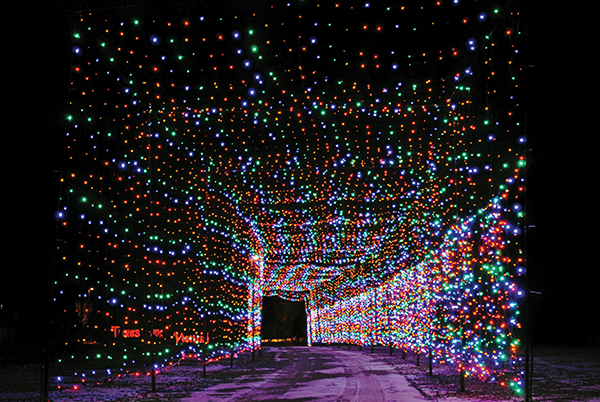 It's Lit! Christmas Displays Worth the Trip - NJ Family