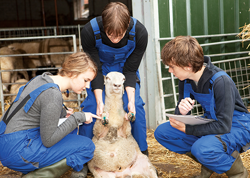 7 Ways To Help Your Teen Score a Great Internship - NJ Family