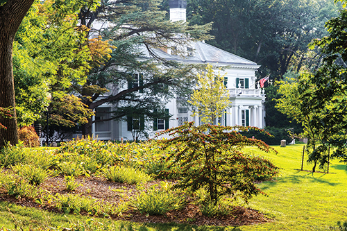 Summer in NJ - NJ Family