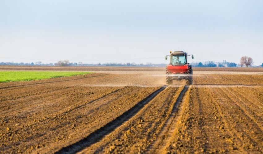 Home, Feed Store, Pet Supplies, Pet Food, Farm Supplies, Lawn & Garden ...