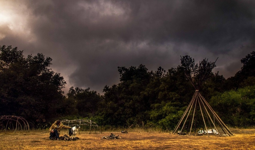 Locke Hill Feed, Pet, & Lawn Supply | Your Local Feed, Lawn & Pet ...