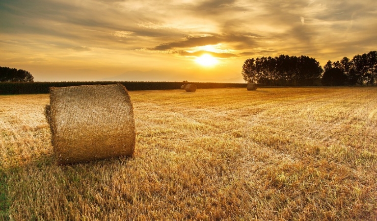 Growing, Harvesting and Baling Your Own Hay | Talmage Farm Agway