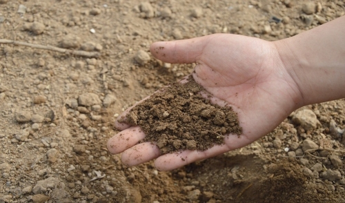 Greensburg Agway | Your Guide to Soil Maintenance - Greensburg , PA ...