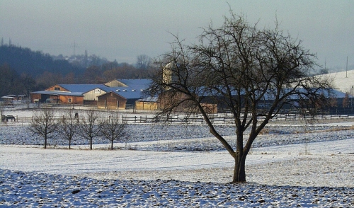 Farming Through the Winter Freeze | Cold Spring Co-Op | Cold Spring, MN