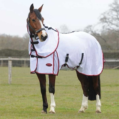 Home, Feed Store, Pet Supplies, Pet Food, Farm Supplies, Lawn & Garden ...