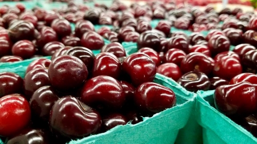 Locally Grown Sweet Cherries | Sawyer Garden Center | Sawyer, MI