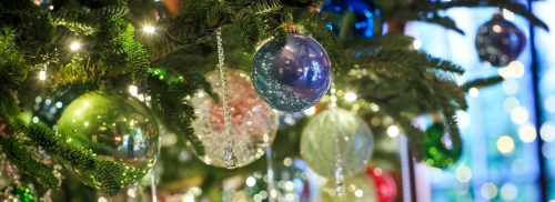 Integrity Nursery & Outdoor Living, Owensboro KY, Nursery Hartford KY ...