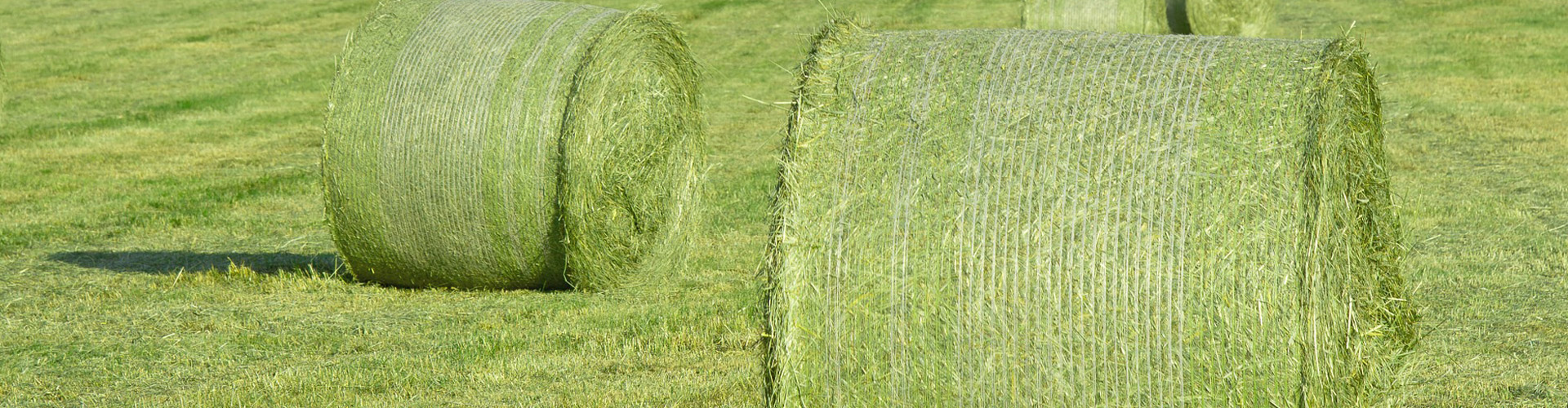 Your Local, Family-Owned Corporation Since 1975 - Brubaker Grain Inc ...