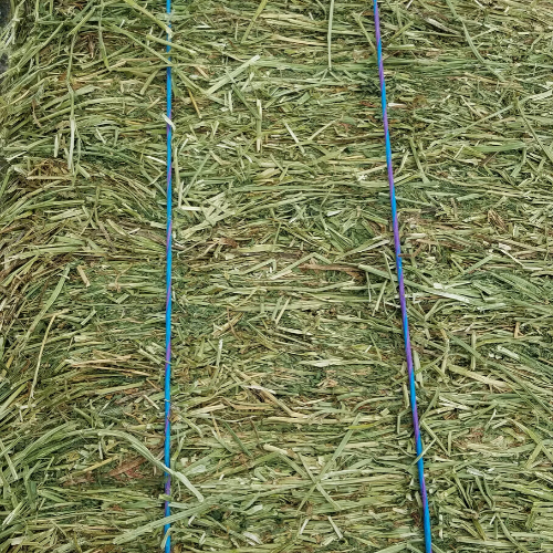 Departments, Standlee Hay, Grass Seed, Livestock Supplies, Fencing ...