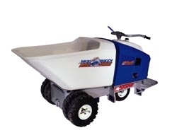 Power Buggy | Y-BY Rental Center | Wenonah, NJ