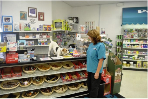 Locally Owned, Pet Store | PetKraze- Serving PA | DE | NY
