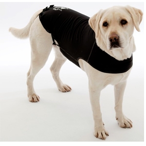 The Original Anxiety Wrap for Dogs | Most Feed & Garden | Crete, IL