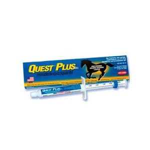 Sissons Feed & Seed Co | Quest Plus Gel Horse womer - Delta, CO ...