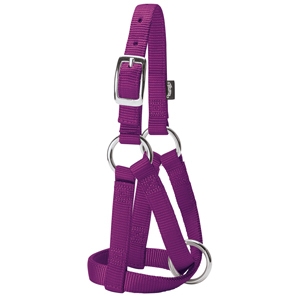 Nylon Goat Halter | King Feed
