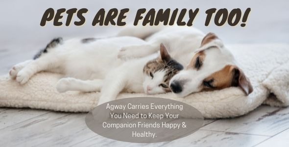 Westerly Agway | Your Lawn, Garden, Pet and Wild Bird Store | Westerly ...