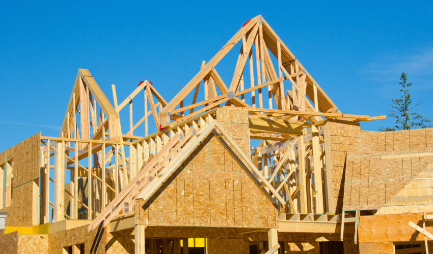 Managing Wood Movement | Pine Cone Lumber