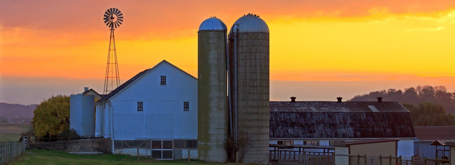 Home, Liverstock Needs, Legends, Outdoor Living, Agronomy, Feed ...