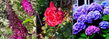 Home | Stony Brook Gardens | Pennington, NJ