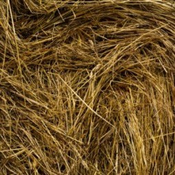 Coastal Hay Junction Warehouse Company Junction, TX