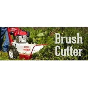 Home [rentaleverydaystruevalue.com]