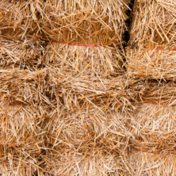 Straw Bales | Liberty Home, Garden Inc. - Liberty, NY