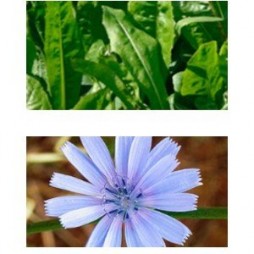 Fletcher's Feed & Farm Supply | Feed And Supply Store For Both Your ...