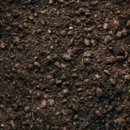 Bulk Soils | Integrity Nursery & Outdoor Living