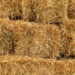Straw Bales | Talmage Farm Agway
