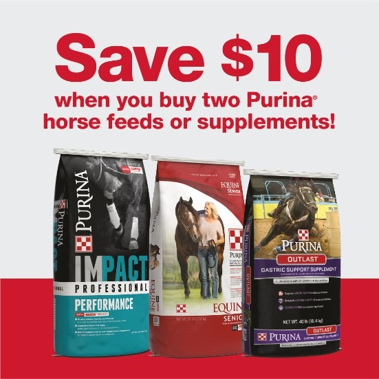 Tips to Keep Pets and Christmas Trees Separate | Talmage Farm Agway