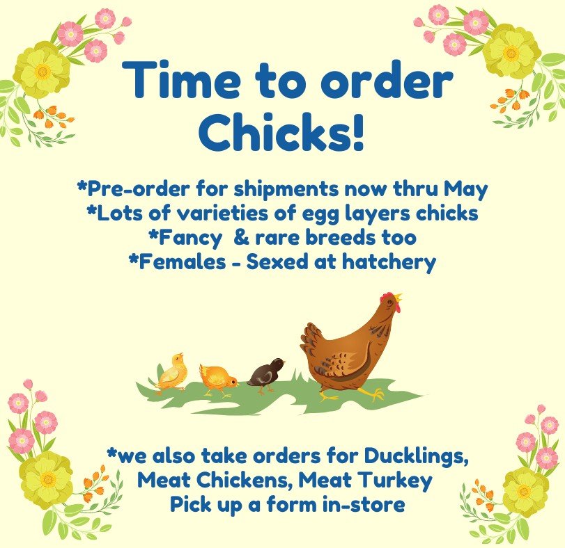 Poultry Supplies, Chick Orders | Hanson Grain- Hanson, MA 02341