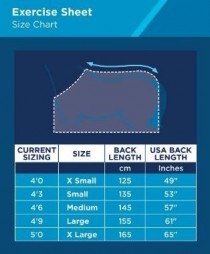 HORSE BLANKET SIZE GUIDE | Douglas Tack & Apparel | Granite Bay, CA