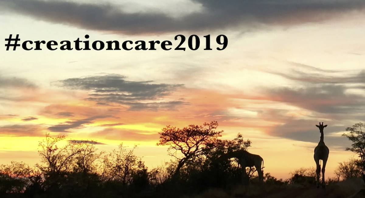Creation Care 2019 - New International